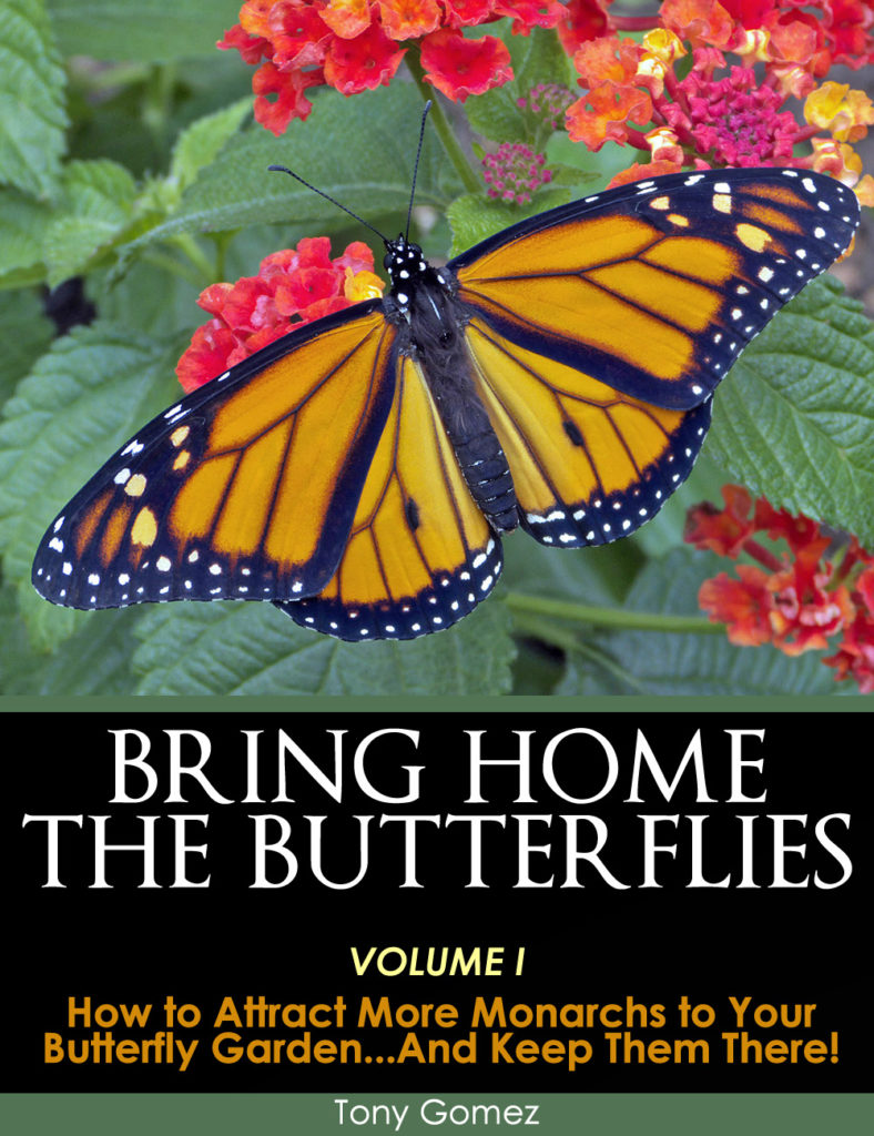 Monarch Butterfly Garden Book- Instant Download