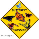 Twelve Days Of Butterflies- Butterfly Gift Ideas For 2017