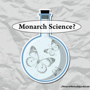 When Monarch Science Fails To Take Flight