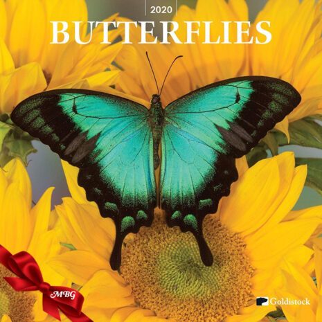 Twelve Days Of Butterflies-Butterfly Gift Ideas For 2019 » Monarch ...