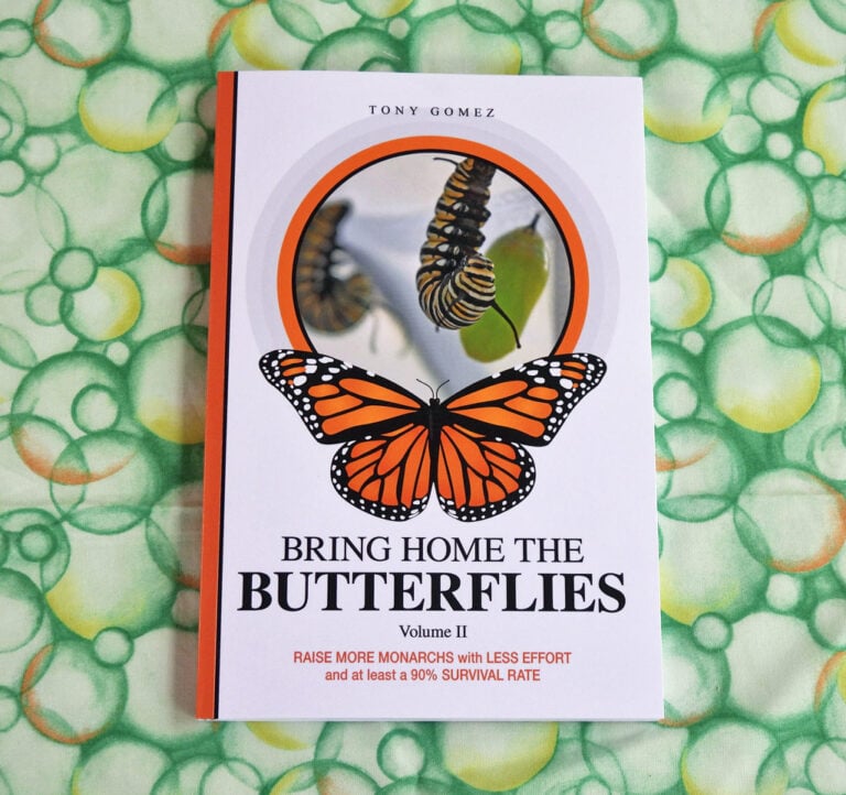 Twelve Days Of Butterflies- Butterfly Gift Ideas For 2021