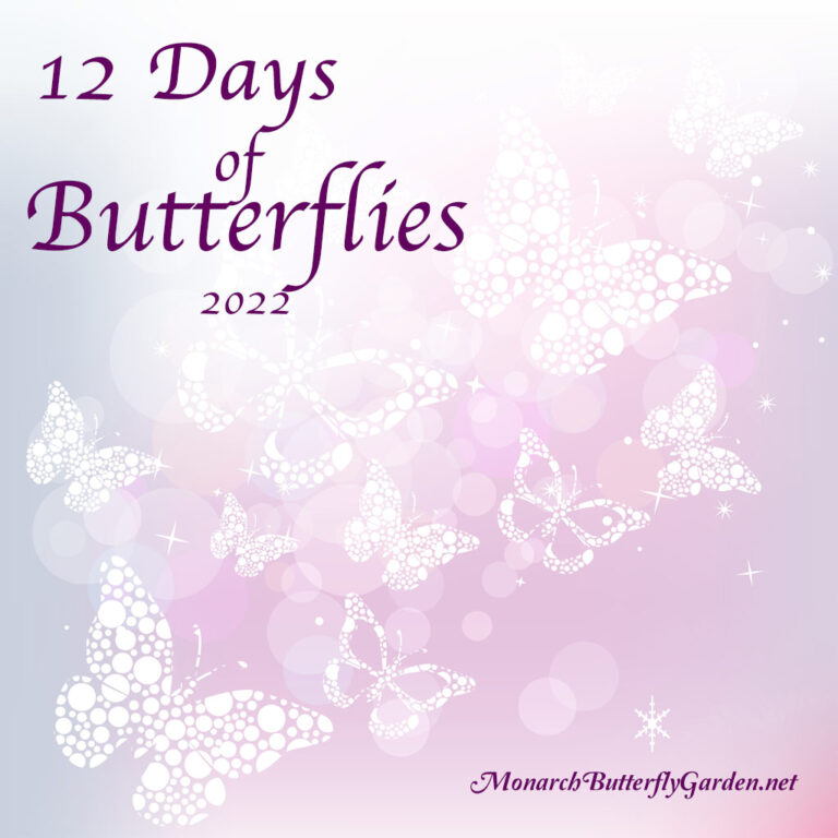 Twelve Days Of Butterflies- Butterfly Gift Ideas For 2022 » Monarch ...