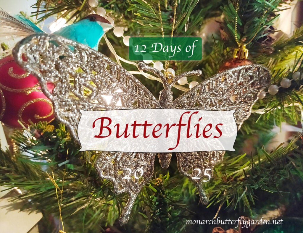 12 Days Of Butterflies: Butterfly Gift Ideas For 2025